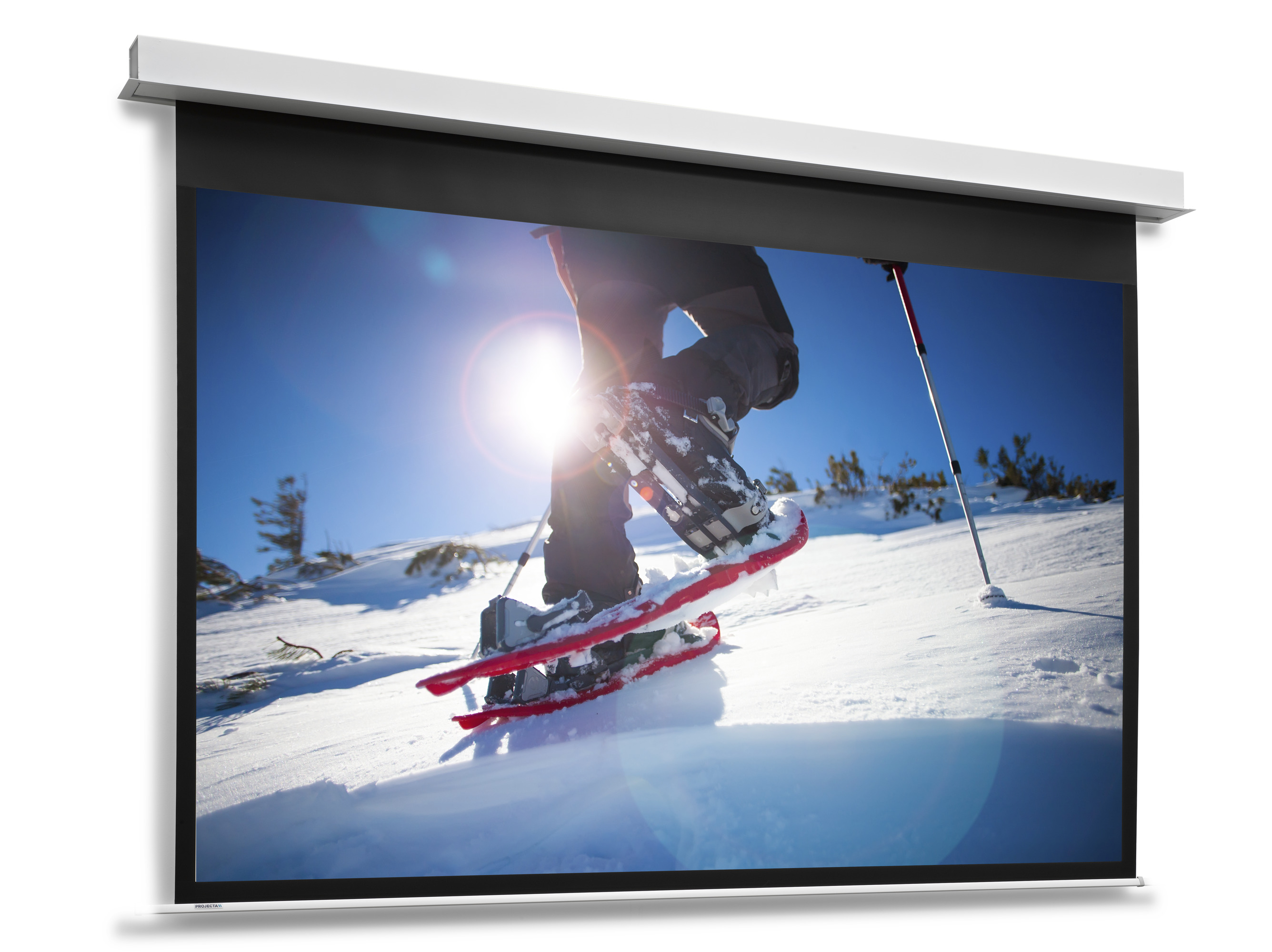 Da-Lite Screen Surface Assembly DescenderPro WS 144x230 Matte White