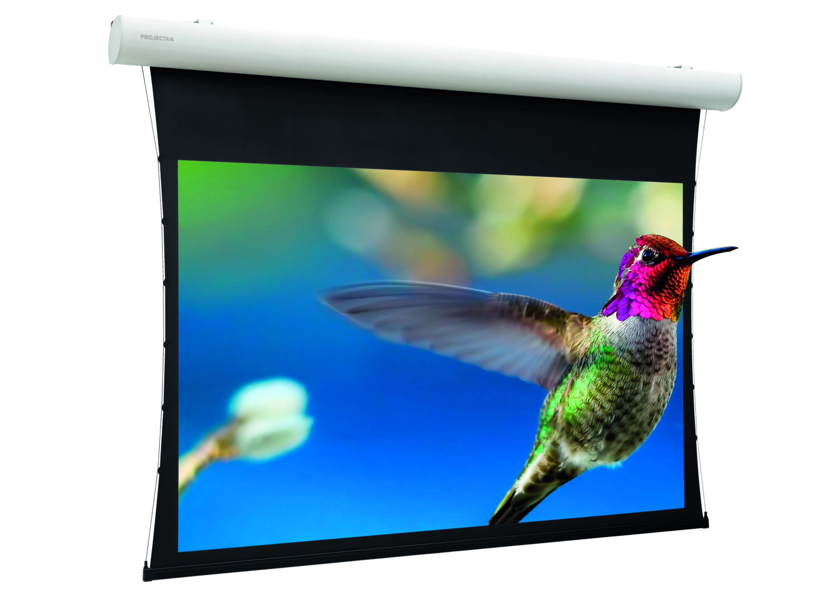 Da-Lite Tensioned Elpro Concept WS 119x190 Matte White